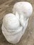 Mid Century Rima Padova Plaster Sculpture Of Mother And Child | eBay