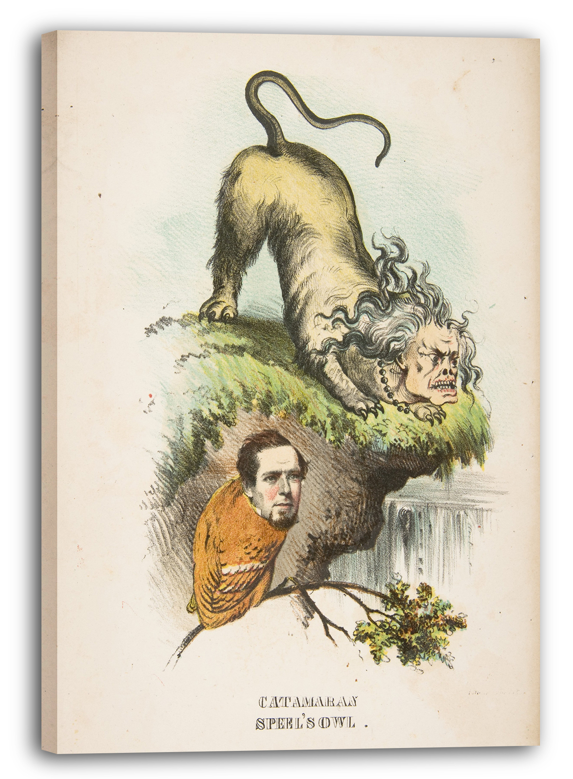 Kunstdruck Henry Louis Stephens - Katamaran und Speel's Owl (Charlotte ...