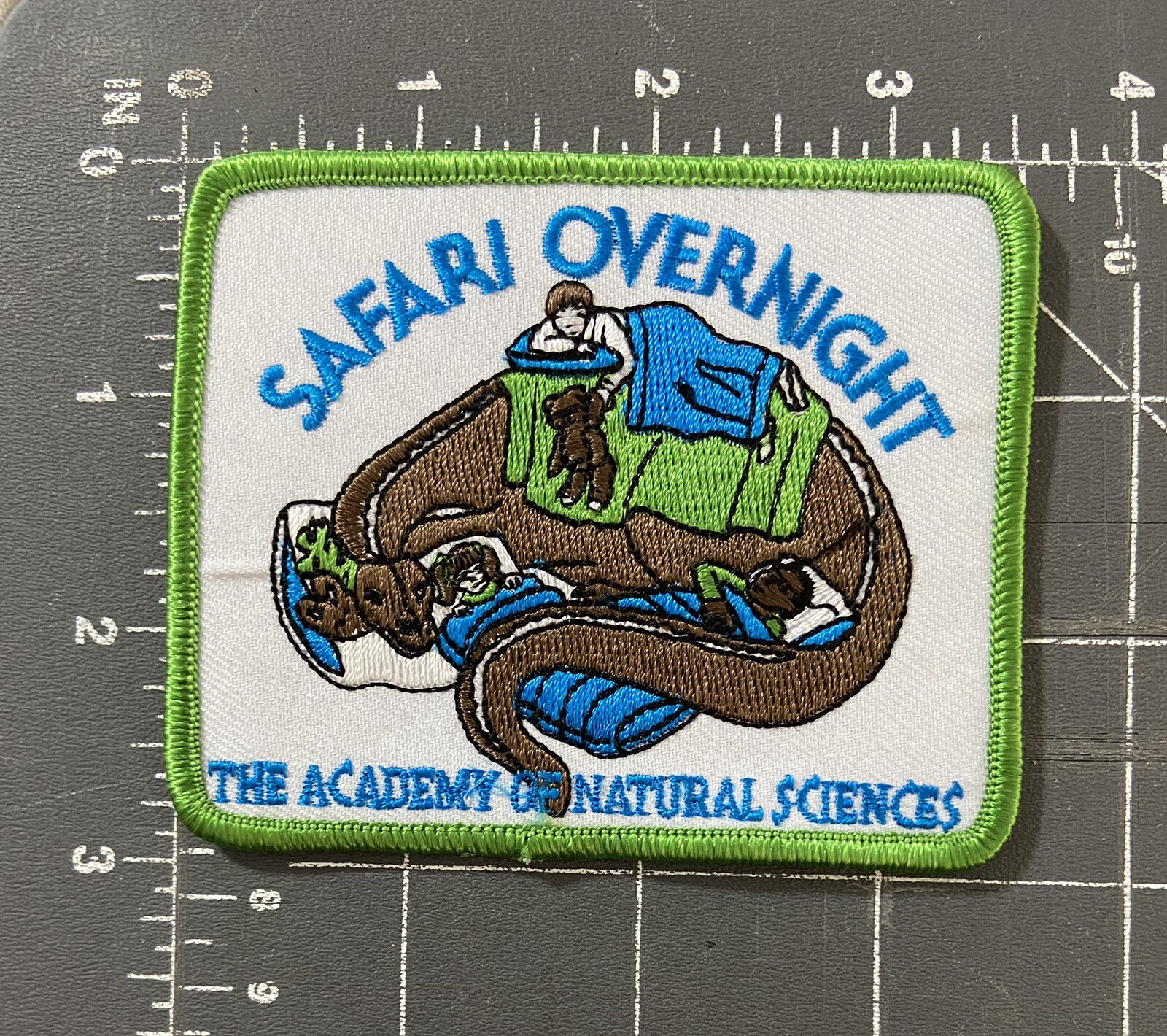 Safari Overnight The Academy of Natural Sciences Patch Philadelphia ...