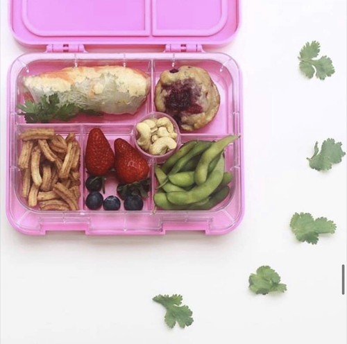 Clear 6 Section Bento Tray | eBay