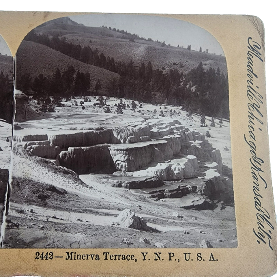 Keystone View Co c1897 #2442, Minerva Terrace, Mammoth Hot Springs ...