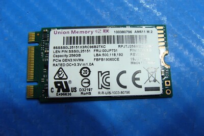 Lenovo ThinkPad E490 Union Memory NVMe 256GB SSD Drive 00UP731 ...