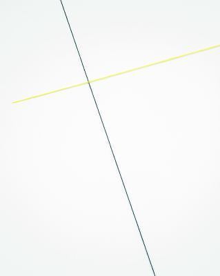 Fred Sandback : Light, Space, Facts by Emily Wei Rales (2016, Hardcover ...