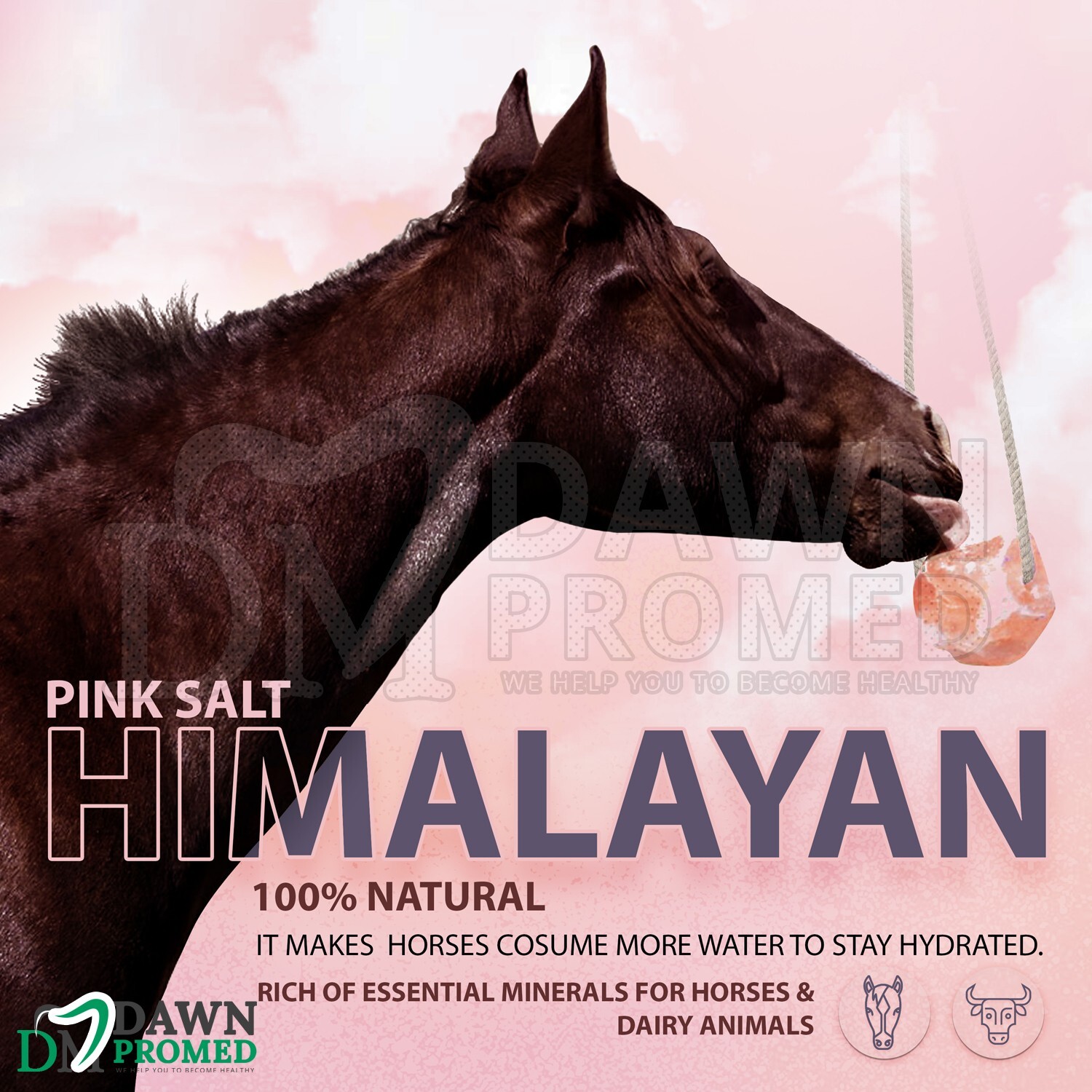 8 Pcs Himalayan Nature 100% Natural Salt Lick Block for Animal Wellness ...