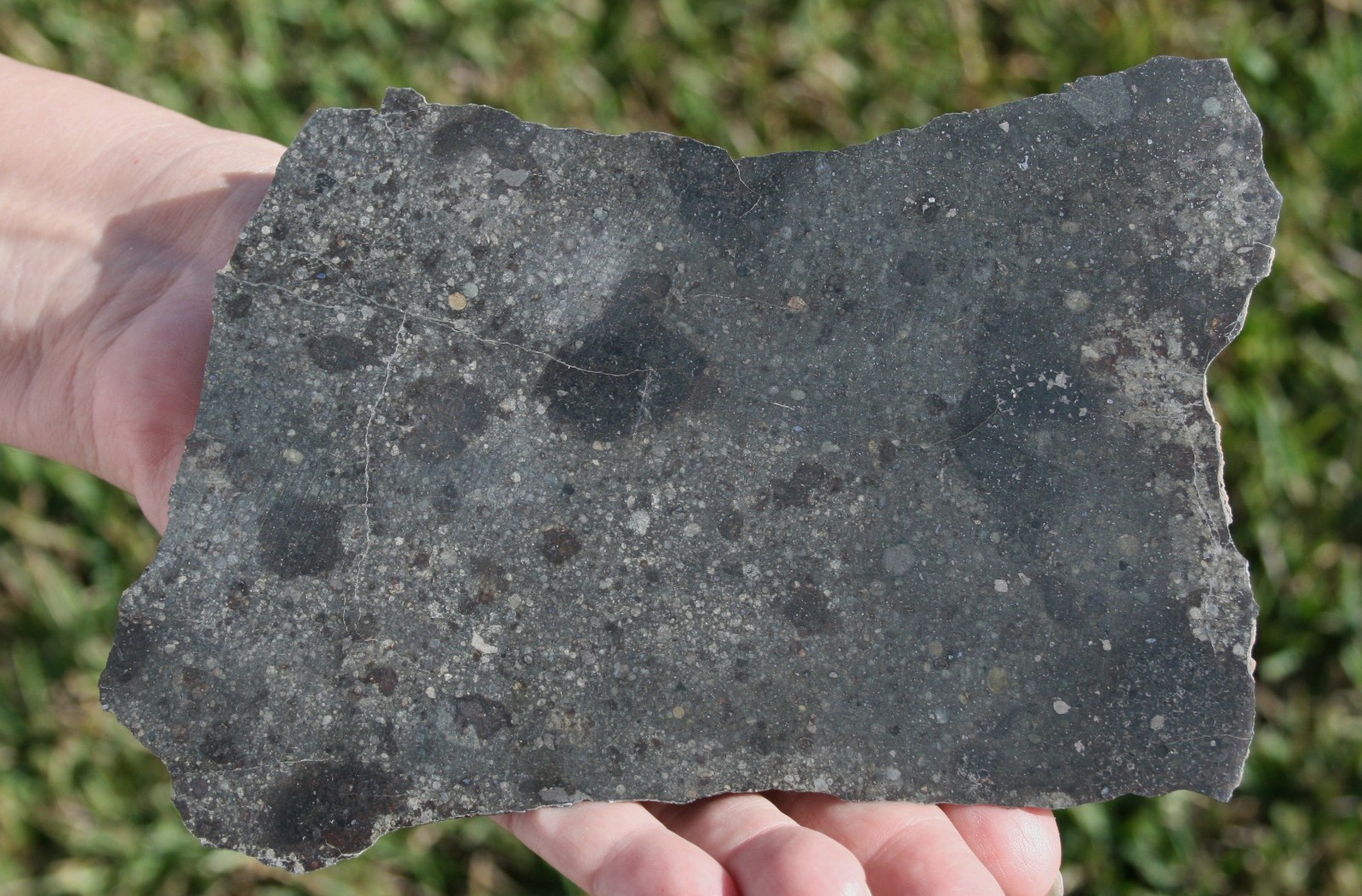 slice of Richfield, KS LL3.7 meteorite 170 by 120mm grey and green ...