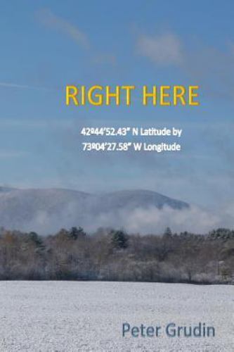 Right Here by Peter Grudin (2015, Trade Paperback) for sale online | eBay