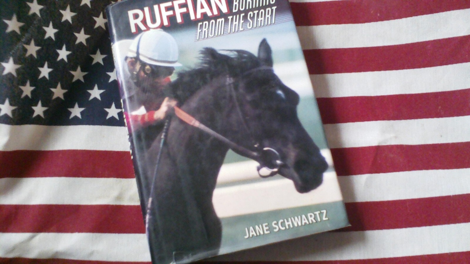 Ruffian Burning from the Start Horse Book By Jane Schwartz + help feed ...