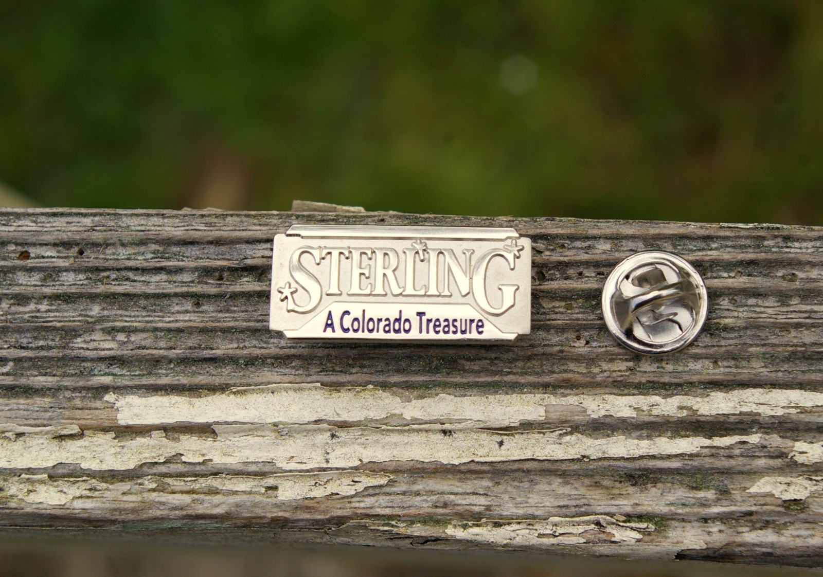 Sterling A Colorado Treasure Silver Tone Metal & Enamel Lapel Pin ...