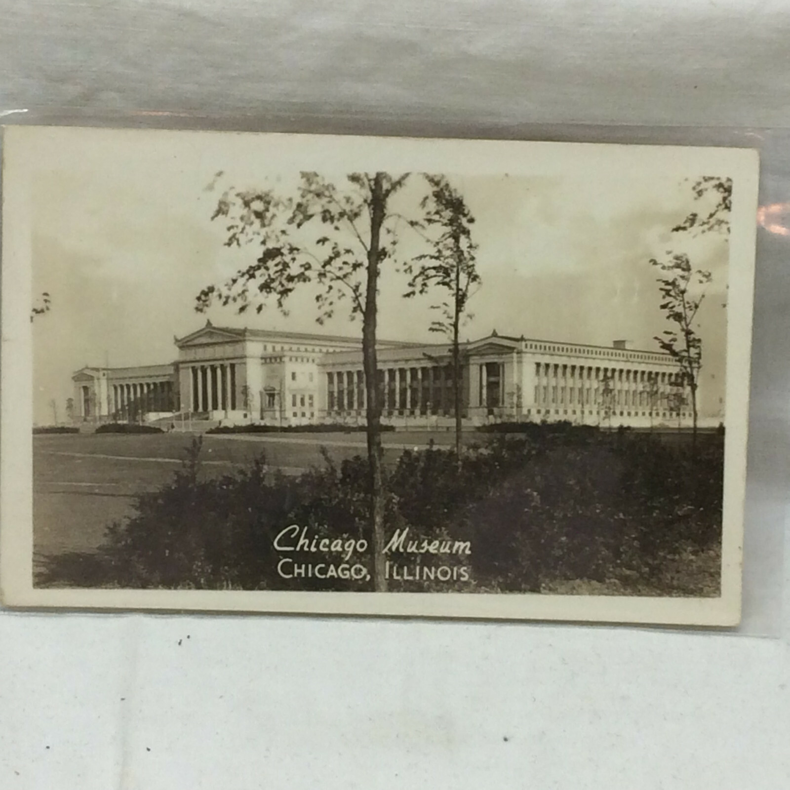 Vintage Real Photo Postcard Chicago Illinois Museum Scene Grogan | eBay