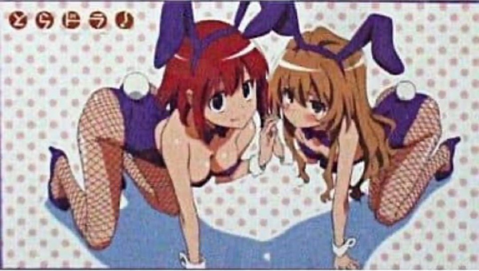 Toradora Big Bath Towel Taiga and Minori Bunny Design Collectible Gift | eBay