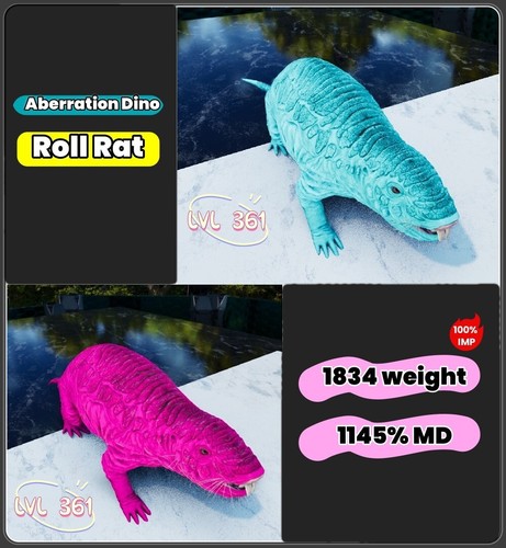 Ark Survival Ascended TOP STAT Roll Rat 1145%MD 100% IMP PC/PS/XBOX | eBay