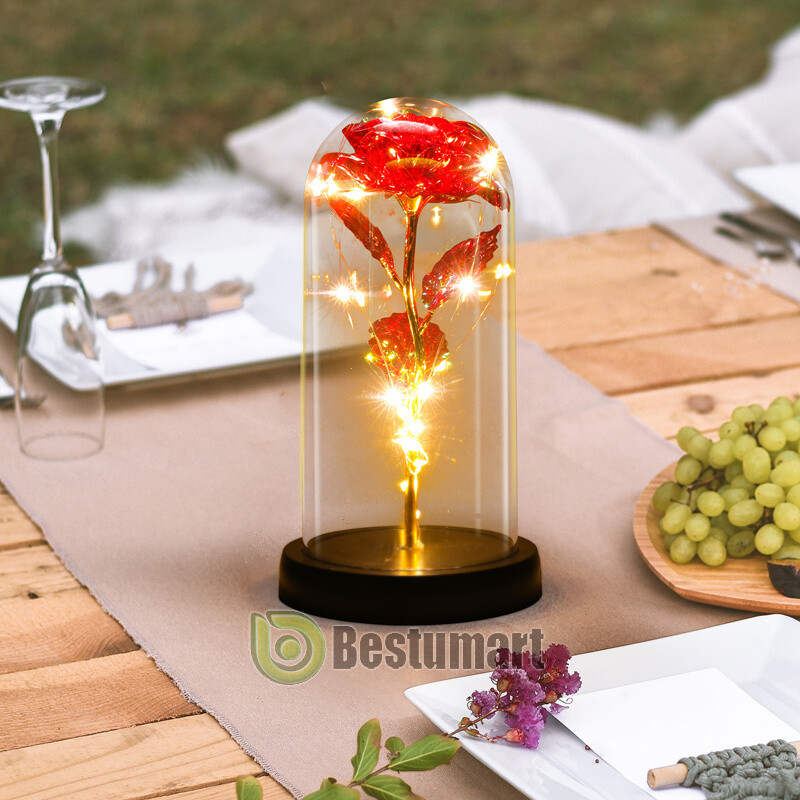 Rose LED Light Glass Mother's Day Gifts for Wife Women Mom Valentines ...
