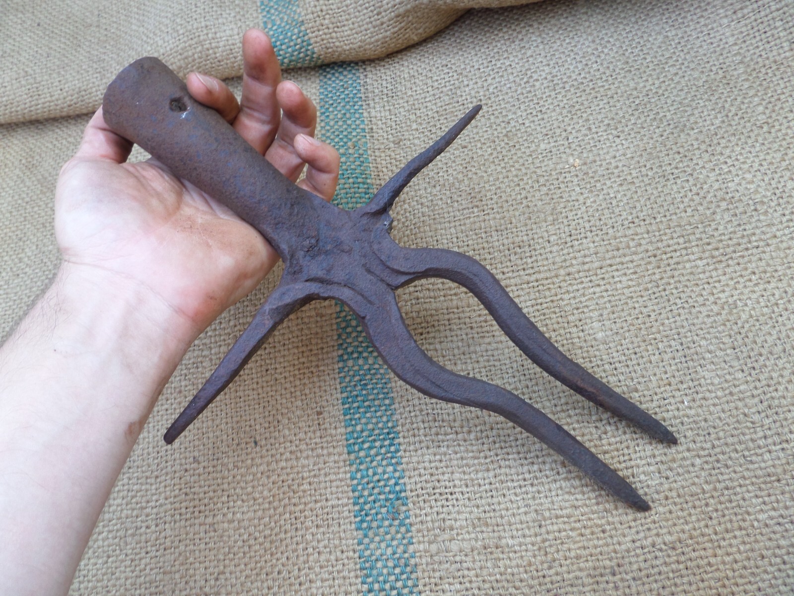ANTIQUE ROOT PULLER BEET EXTRACTING TOOL DIGGING BEETROOT VINTAGE HAND ...