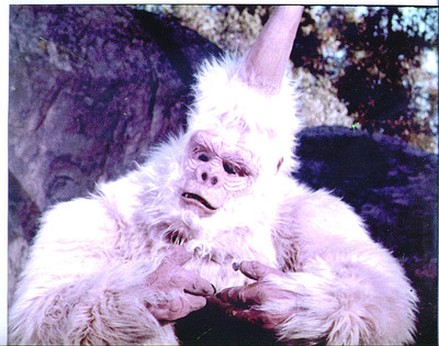8 x 10 color photo STAR TREK monster THE MUGATO "Private Little War" | eBay