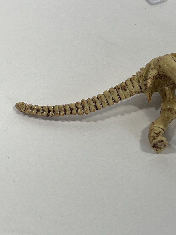 Triceratops Dinosaur Toy Skeleton Plastic Fossil Prehistric Animals ...