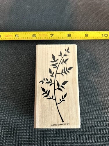 2x4 Rubber stamp plant | eBay