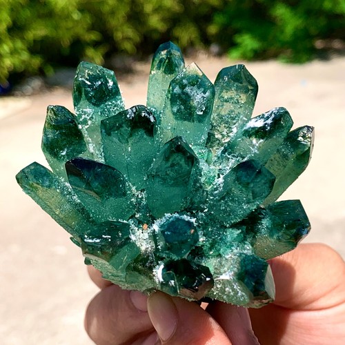 299G Newly discovered green phantom quartz crystal cluster mineral ...