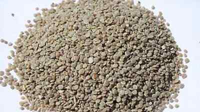 Ayurveda Aushadhi Todri White Seeds - Tudri Safed Beej 400gm | eBay