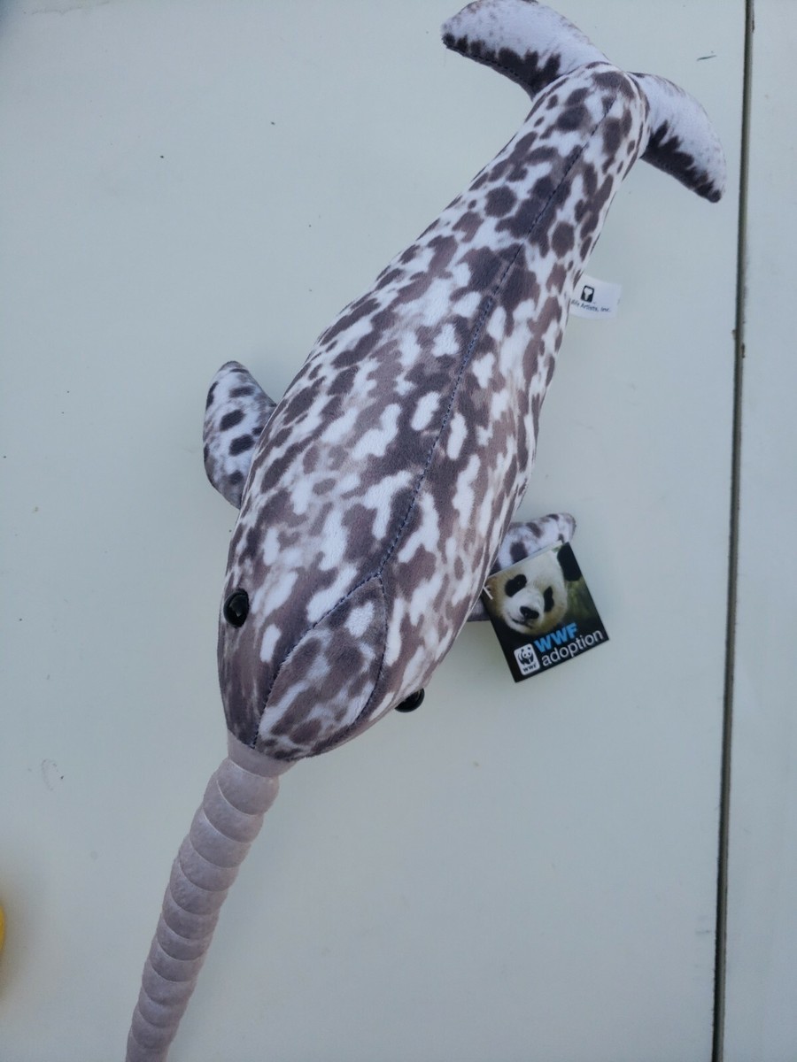 Wwf Adopt A Whale Shark