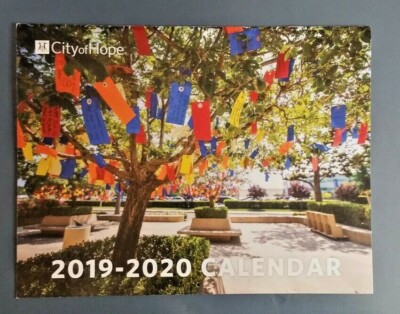 2020 The City of Hope Calendar w Beautiful Pictures of Their People ...