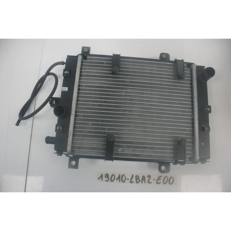 Radiator Water Radiator Kymco Xciting 500 07-14 | eBay