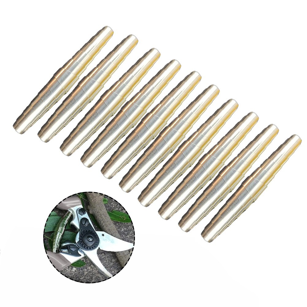 Fruit Branch Spring Compression Spring Keywords Replacement Volute ...