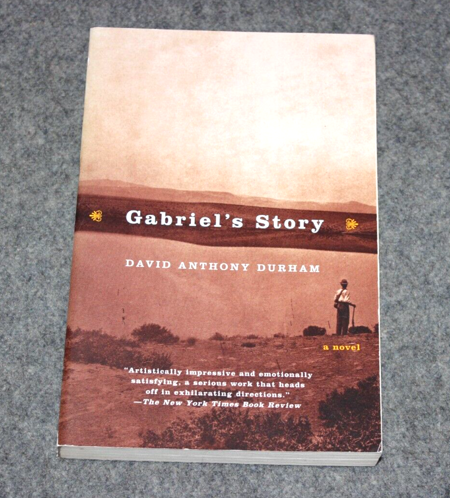 Gabriel's Story : A Novel (Hurston/Wright LEGACY Award) by David ...