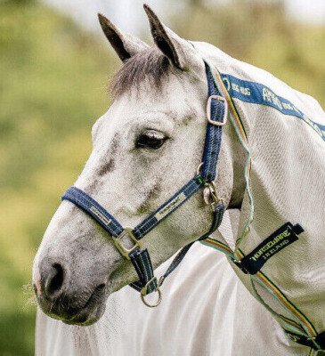Horseware Field Safe Quick Release Saftey Headcollar Breakaway Head ...