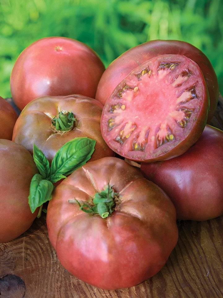100 Heirloom Purple Cherokee Tomato Seeds - NonGMO Free Shipping ...