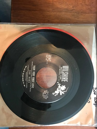 DOO WOP 45 RPM RECORD - THE DUBS - WILSHIRE 45-201 | eBay