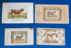 Arm & Hammer Soda and Saleratus 2 Old Advertising Trade Cards; Asters ...