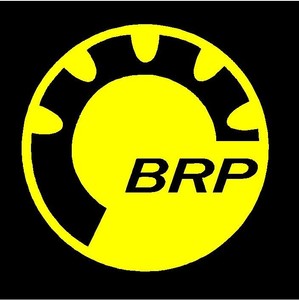 Ski Doo Brp Logo