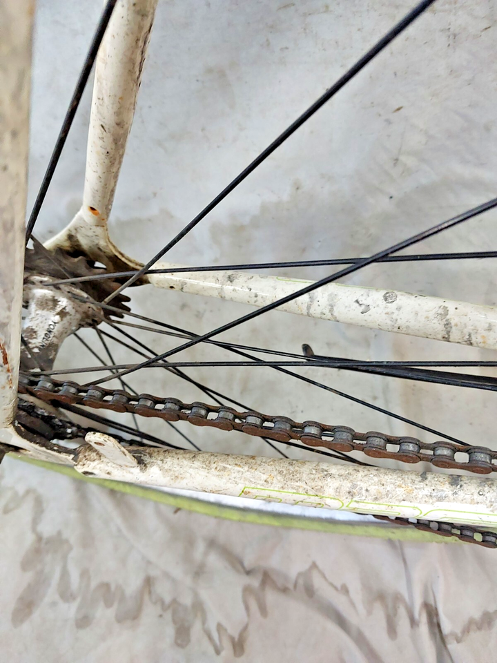 2010 Magna Fix-D FlipFlop Fixed Gear Bike 55cm Medium Fixie SS Steel ...