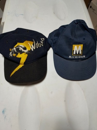 2 University Of Michigan Wolverines Baseball Cap Mens Snapback Hat . | eBay