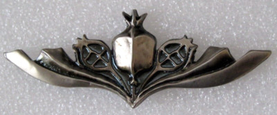 Israel IDF Military Army Commando Brigade Rimon Grenade Unit Pin | eBay