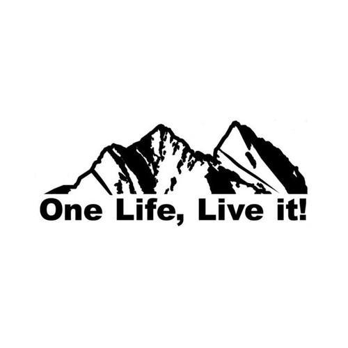 ONE LIFE LIVE IT - CAR TRUCK WINDOW BUMPER VINYL STICKER | eBay