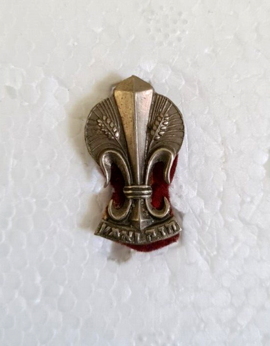 Israel Scouts 'The Scouts' an old pin badge 1960-70 | eBay