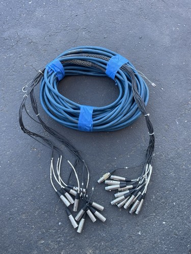Whirlwind Medusa 12-Channel XLR Snake Cable 100ft – Belden Switchcraft ...