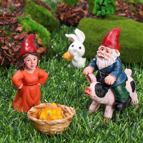 Dwarf Figurine Fairy Garden Decorations Riding Pig Gnome Female Goblin ...