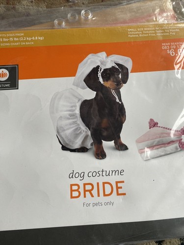 white BRIDE WEDDING Dog Costume Bride S Small Halloween | eBay