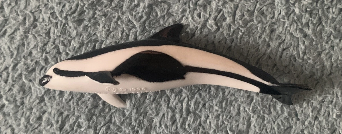 Baby Hourglass Dolphin