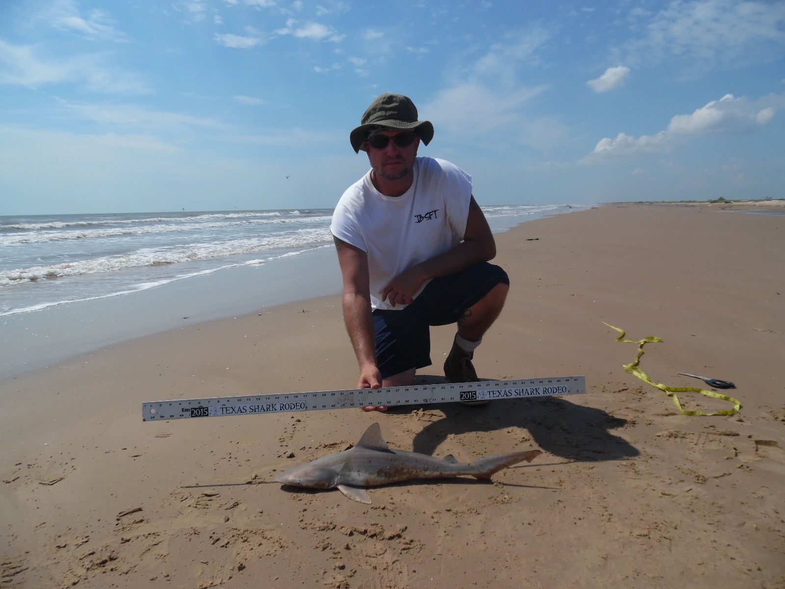 Small Shark Rig - 3ft Castable Shark Fishing Leader - Circle Hook Surf ...