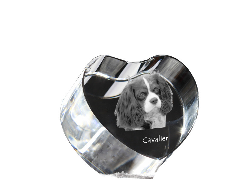 Cavalier King Charles Spaniel - Little IN Crystal,Crystal Heart,Unique ...