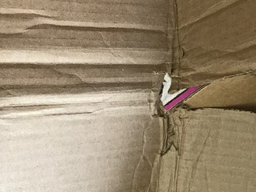 Fastest Man in the World : The Tony Volpentest Story by Tony Volpentest ...