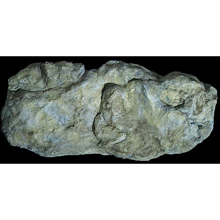 Woodland Scenics Rock Mold Washed Rock WOOC1242 Train Scenery Non Scale ...