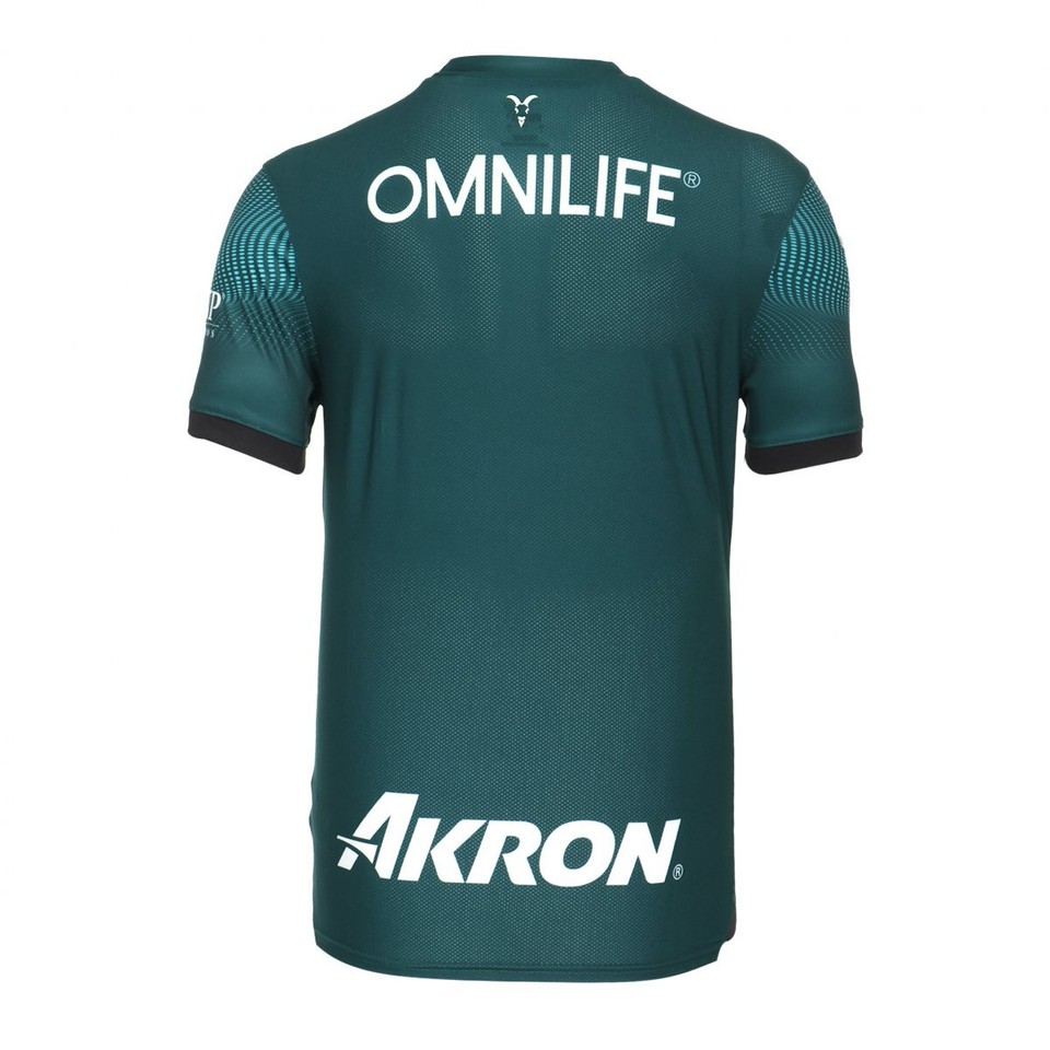 JERSEY CHIVAS DEL GUADALAJARA PUMA GREEN SOCCER MENS ALTERNATIVE PLAYER ...