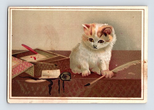 Victorian Trade Card Kitten Cat Quill Ink Spill 1890s Blank Back 3" x 4 ...