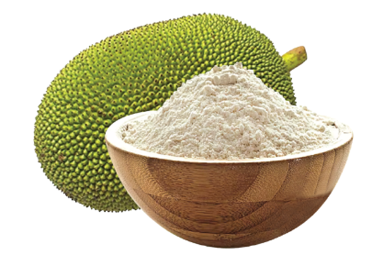 100% Natural Jackfruit Extract - Boost Your Health with Tropical ...