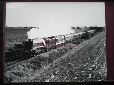 PHOTO 10 X 8 INCH LNER A4 CLASS LOCO NO 4498 'SIR NIGEL GRESLEY' WITH ...