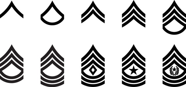 Set of 2 US Army Ranks Vinyl Sticker Decals E-2 through E-9 Private ...